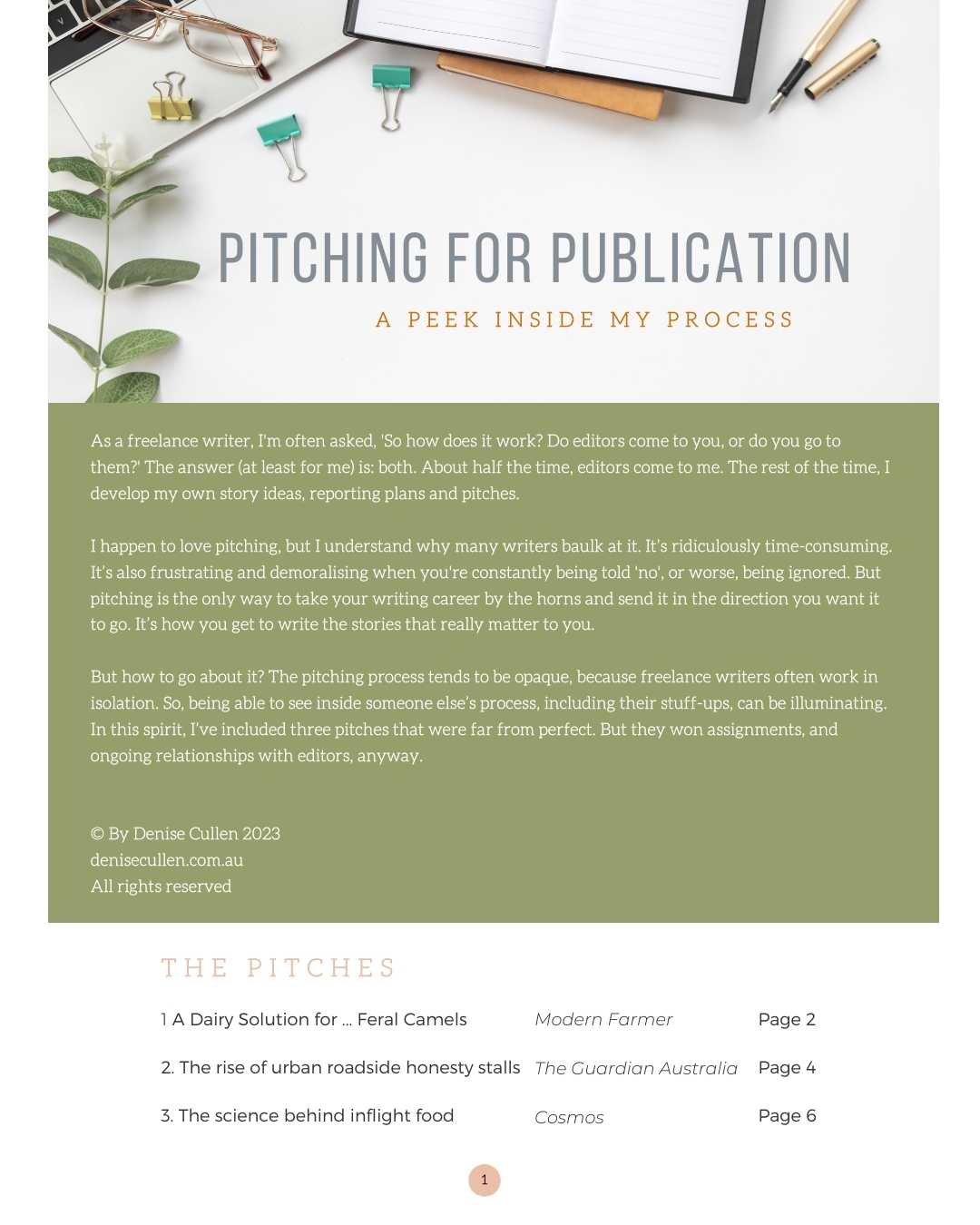 The five biggest myths about pitching - Denise Cullen